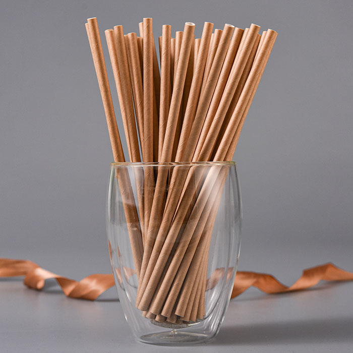 Compostable Biodegradable Eco Friendly Kraft Brown Paper Bio Straw ...