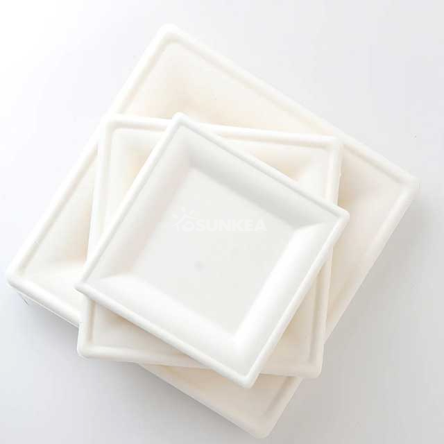 Square Pulp Plate - Buy Sugarcane Bagasse Plates Product on Food ...